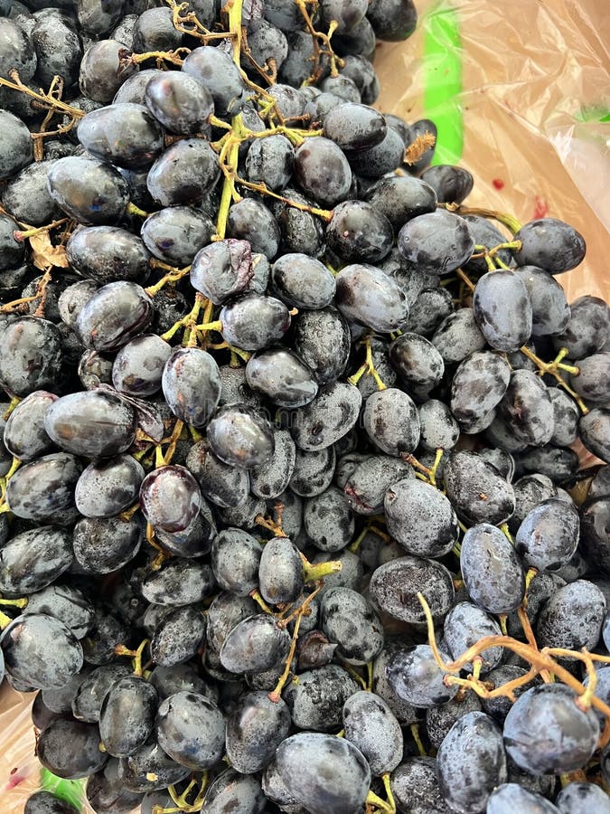 Black Grapes stock image. Image of green, seed, seedless - 288506511