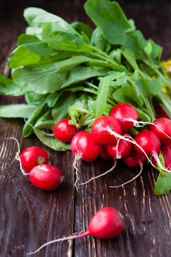 Large Bunch of Fresh Red Radish Stock Photo - Image of nature, bundle ...