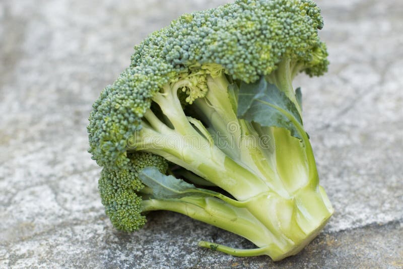 Large broccoli stock photo. Image of detail, dieting, fresh - 3233396