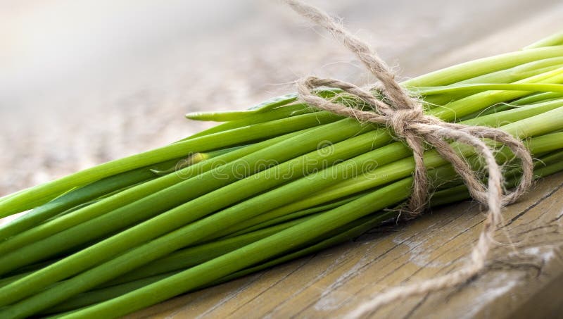 Green chives over tomatoes stock photo. Image of healthy - 284292