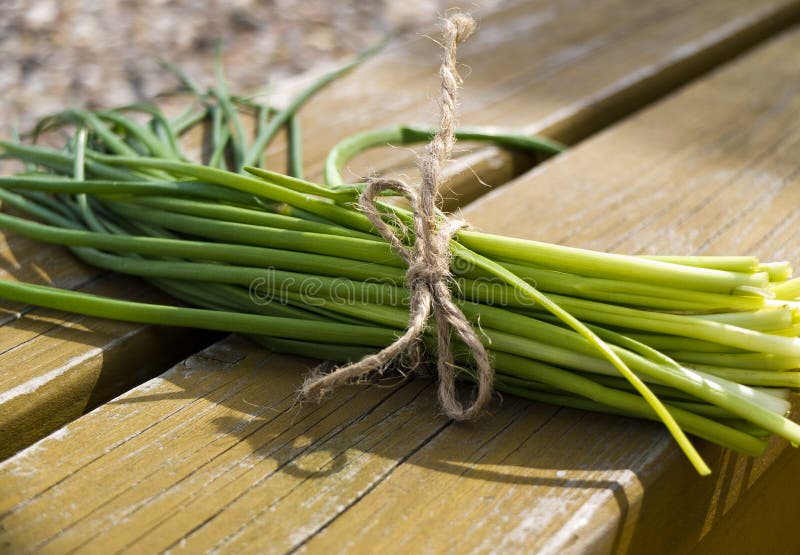 Large Bunch of Green Chives Stock Photo - Image of blur, ingredient ...