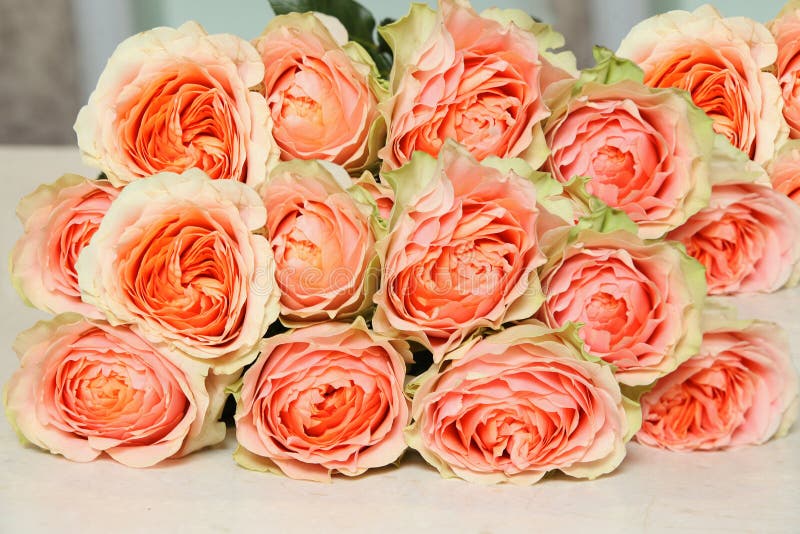 Large Bunch of Unusual Varieties of Roses Stock Image - Image of ...