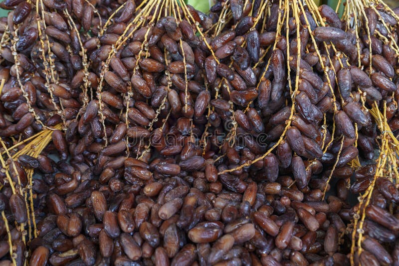 Large Bunches of Dried Dates Stock Image - Image of outdoor, market ...