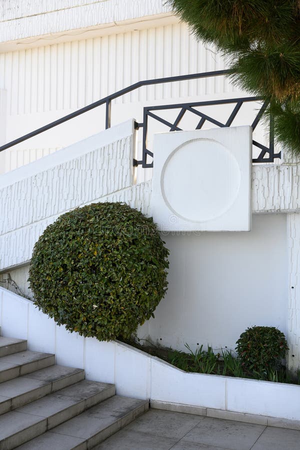 A Large Bush in the Shape of a Ball in a Geometric Pattern of Light ...