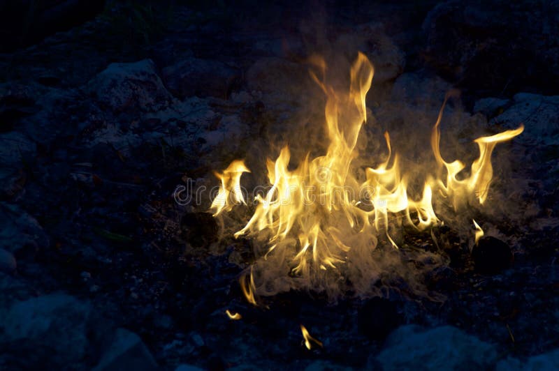 Large Campfire with Tall Orange Flames Stock Photo - Image of circle ...