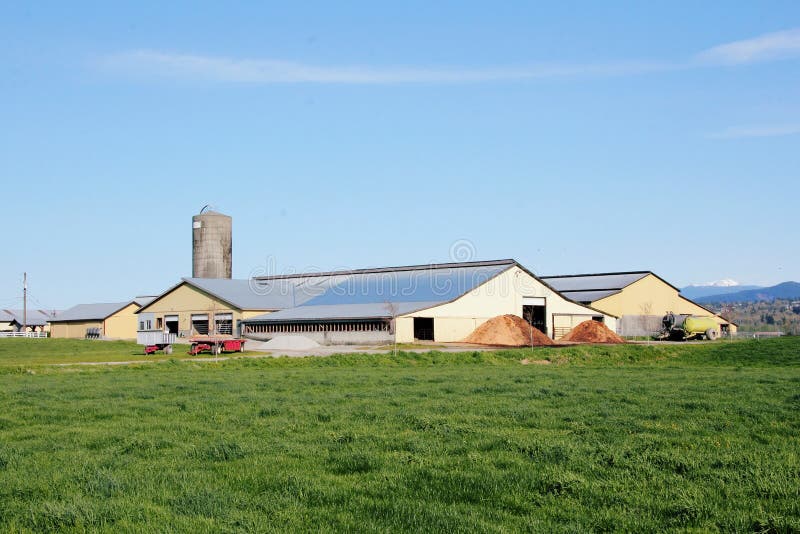 Large Canadian Farm stock image. Image of grass, working - 52678143