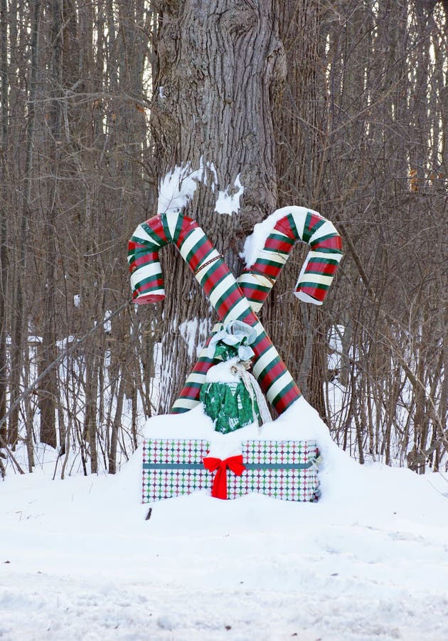 Large Candy Canes and a Gift Stock Photo - Image of gift, christmas ...