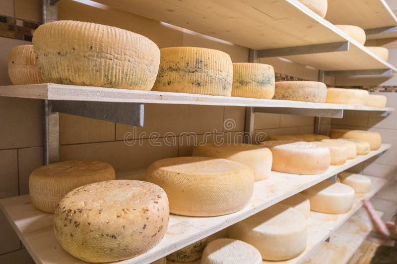 Large cheese on a shelf stock image. Image of large - 165245049