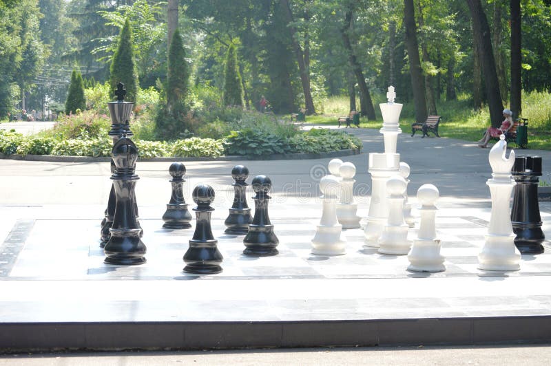 Large chess pieces stock image. Image of check, bishop - 250991489