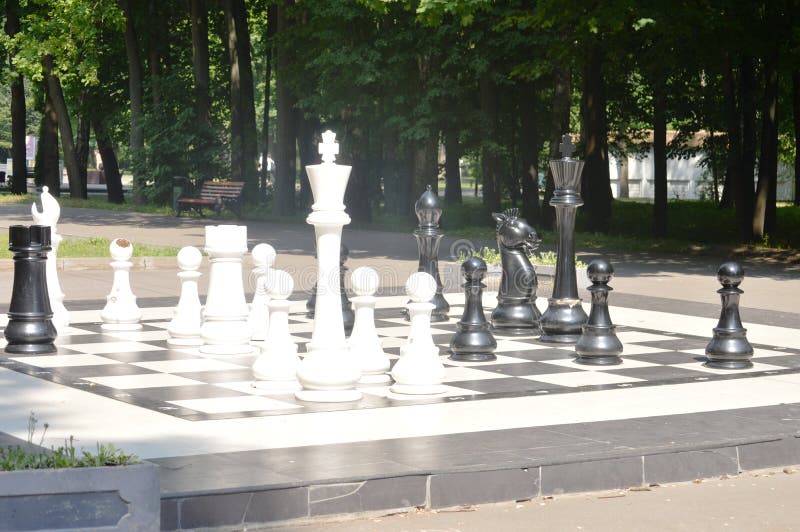 Large chess pieces stock image. Image of concept, chess - 250991571