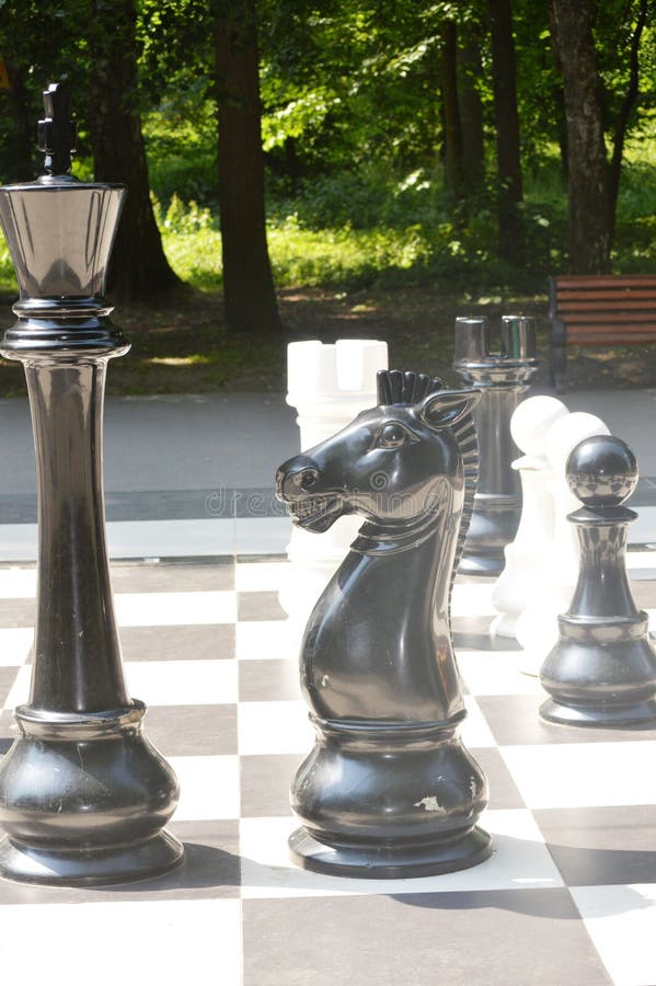 Large chess pieces stock photo. Image of garden, knight - 250991604