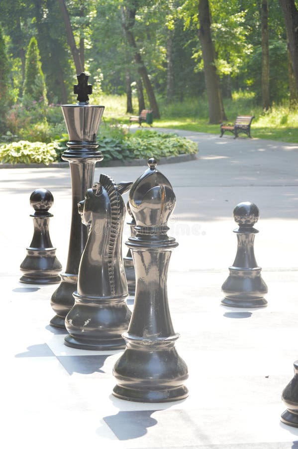 Large chess pieces stock photo. Image of outdoor, board - 250991642