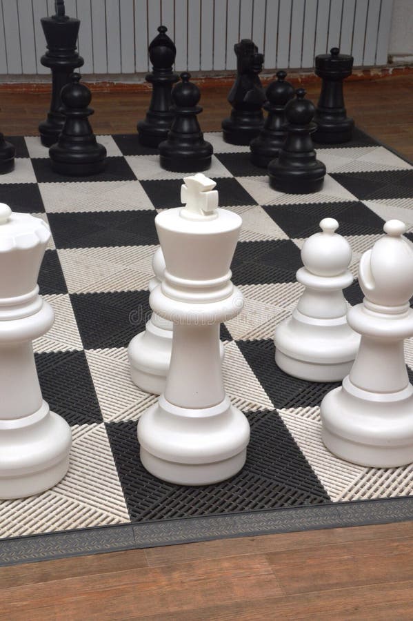 Large chess pieces stock photo. Image of outdoor, young - 267987364