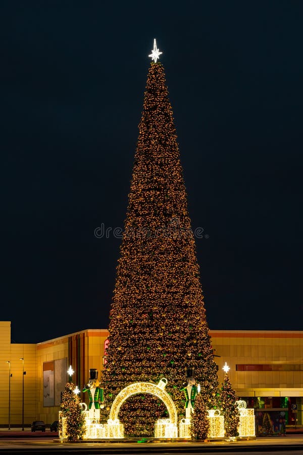 A Large Christmas Tree, with Beautiful Decorations and an Unusual ...