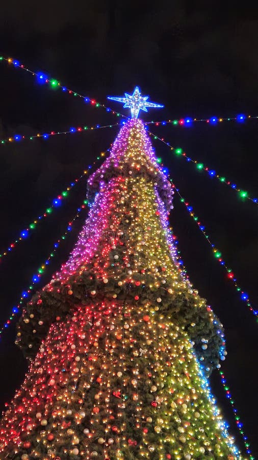 Large Christmas Tree Decorated with Garlands of Bright Multi-colored ...