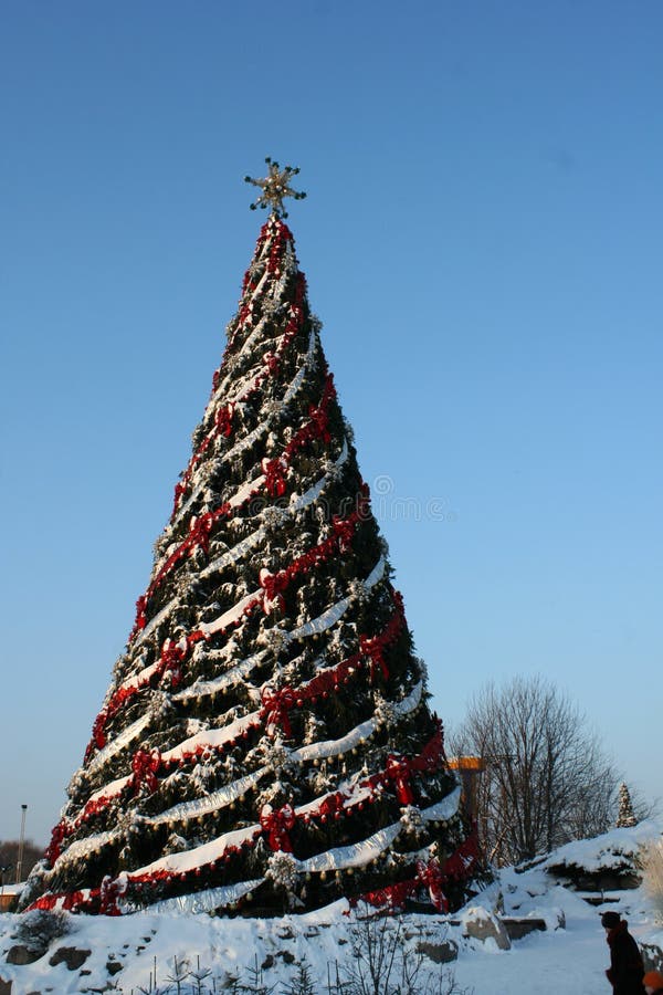 Large christmas tree stock photo. Image of twilight, europe - 36330436