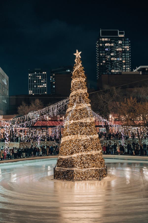 Large Christmas Tree Illuminated in a Fountain at Night. Editorial ...