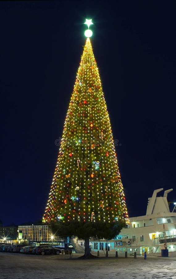 A large Christmas tree stock photo. Image of stockholm - 48220800