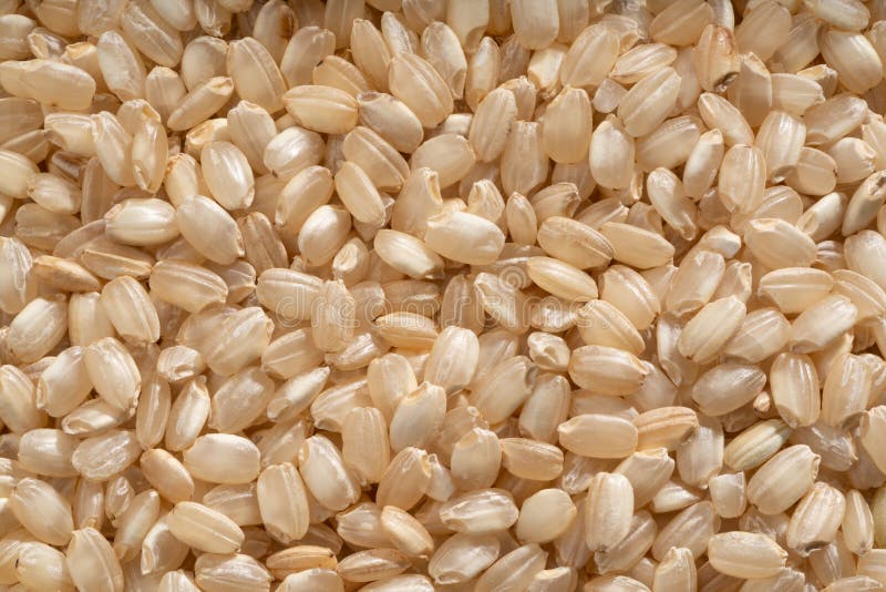 Large Close Up Shot of Rice Grain Stock Image - Image of natural ...