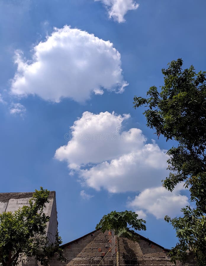 Large cloud array stock photo. Image of flower, hill - 254727614