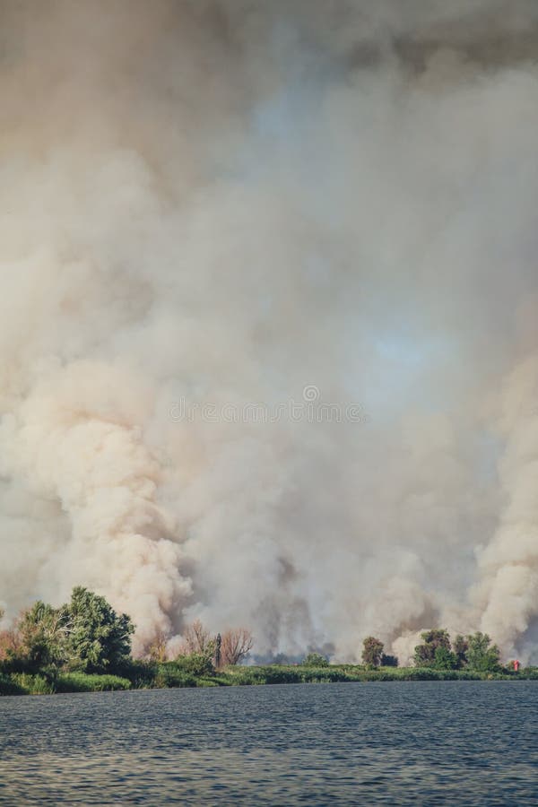 Large Clouds of Smoke, Fire in Nature Stock Image - Image of danger ...