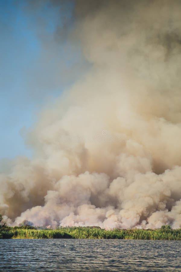 Large Clouds of Smoke, Fire in Nature Stock Image - Image of light ...
