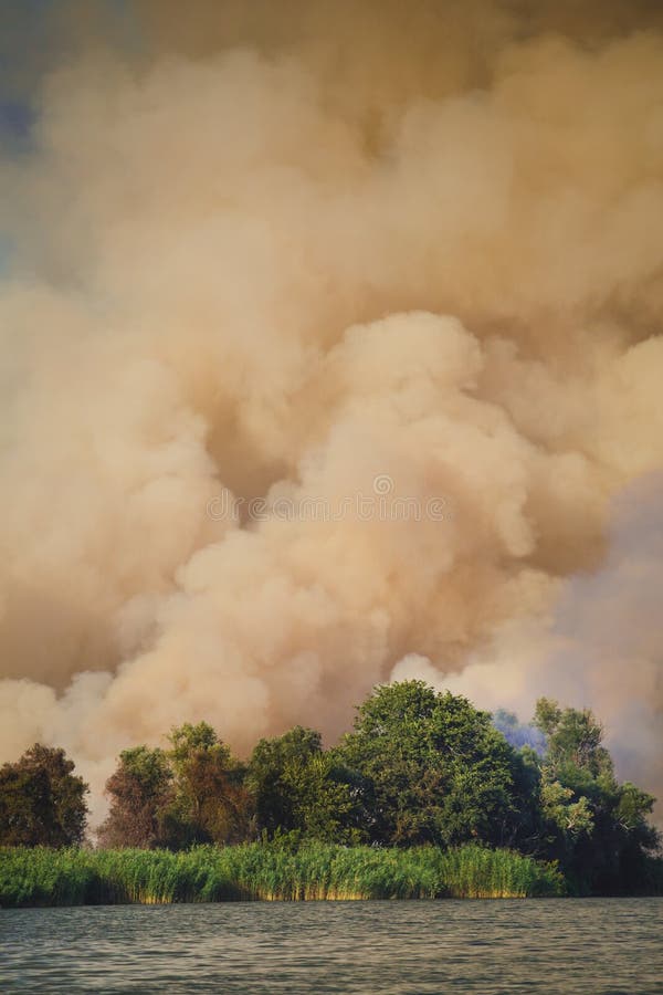 Large Clouds of Smoke, Fire in Nature Stock Image - Image of farm ...