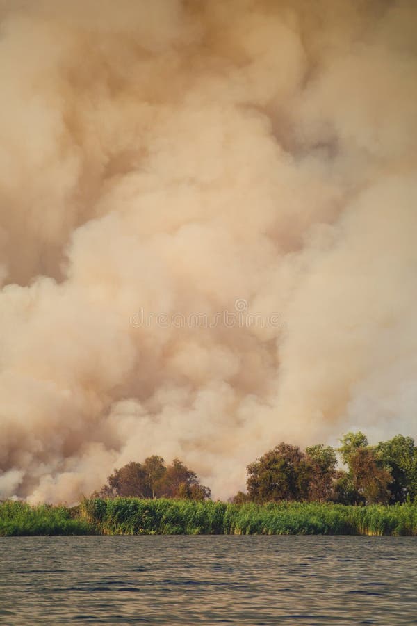 Large Clouds of Smoke, Fire in Nature Stock Image - Image of ...