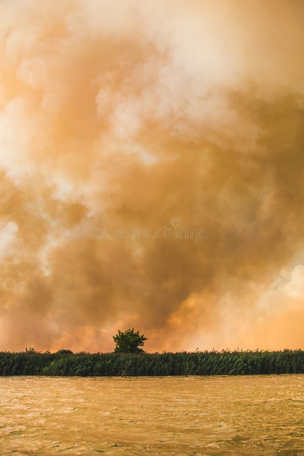 Large Clouds of Smoke, Fire in Nature Stock Photo - Image of accident ...