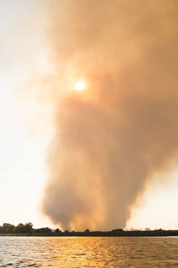 Large Clouds of Smoke, Fire in Nature Stock Image - Image of clouds ...