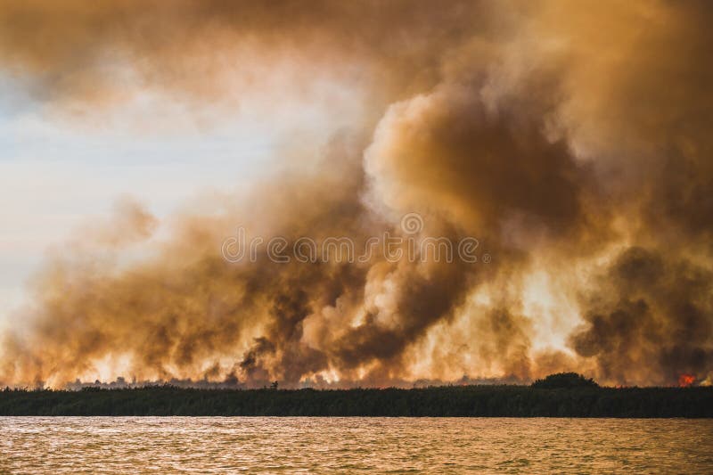 Large Clouds of Smoke, Fire in Nature Stock Image - Image of drought ...