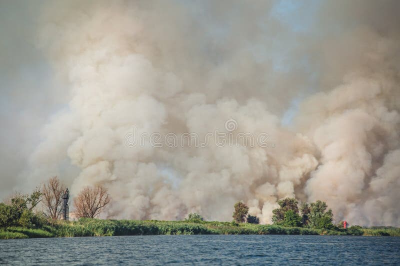 Large Clouds of Smoke, Fire in Nature Stock Photo - Image of burn ...