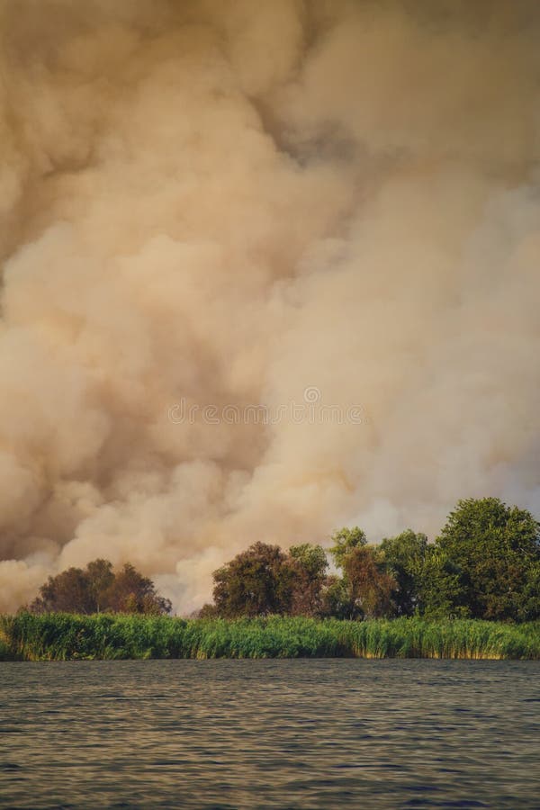 Large Clouds of Smoke, Fire in Nature Stock Image - Image of broken ...