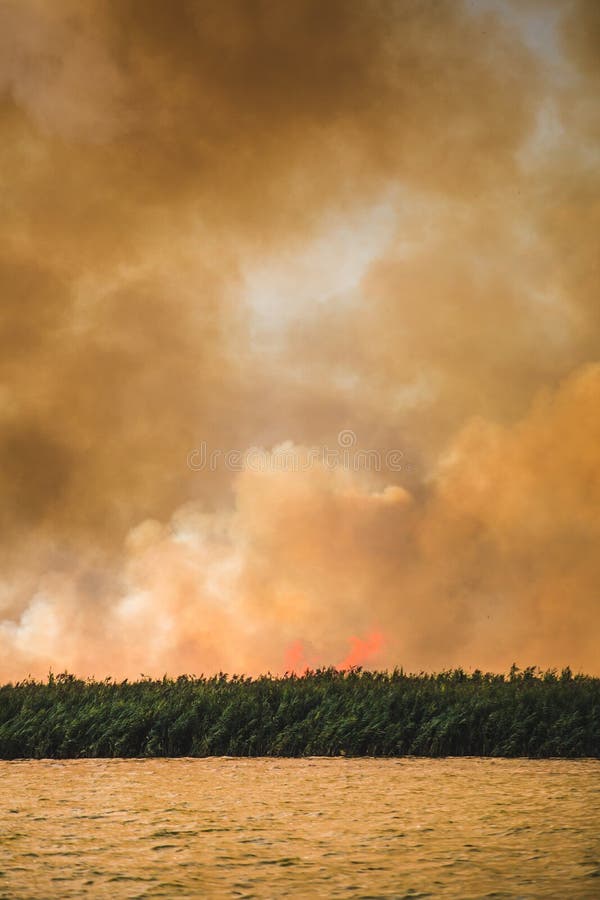Large Clouds of Smoke, Fire in Nature Stock Image - Image of clouds ...