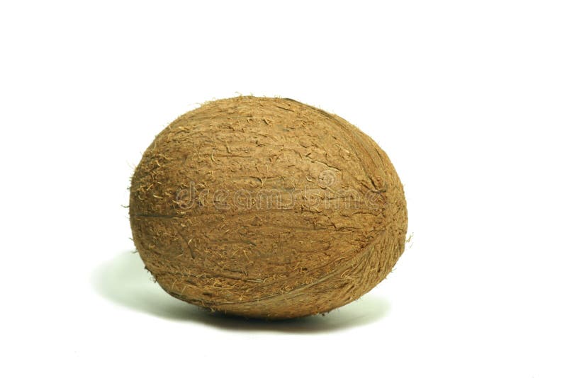Large coconut 3 stock image. Image of nature, healthy - 78542681