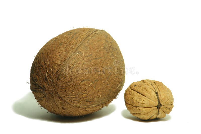 Large coconut 5 stock image. Image of cracked, nutrition - 78542867