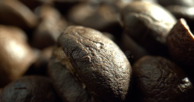 A Large Coffee Bean in Studio Light Front of Other Coffee Beans ...