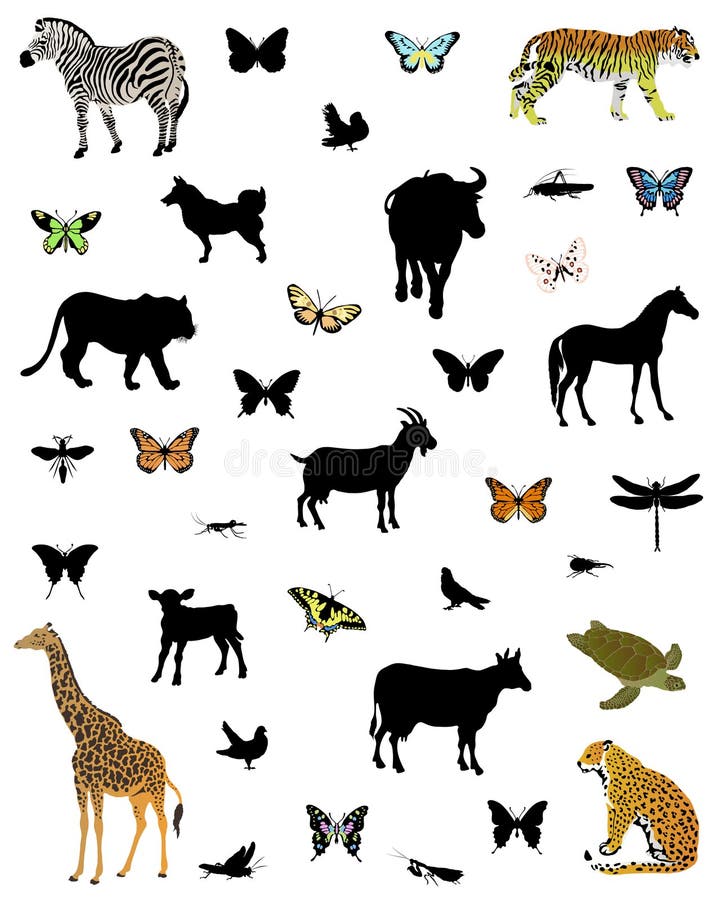 A Large Collection of Animals and Butterflies Stock Illustration ...