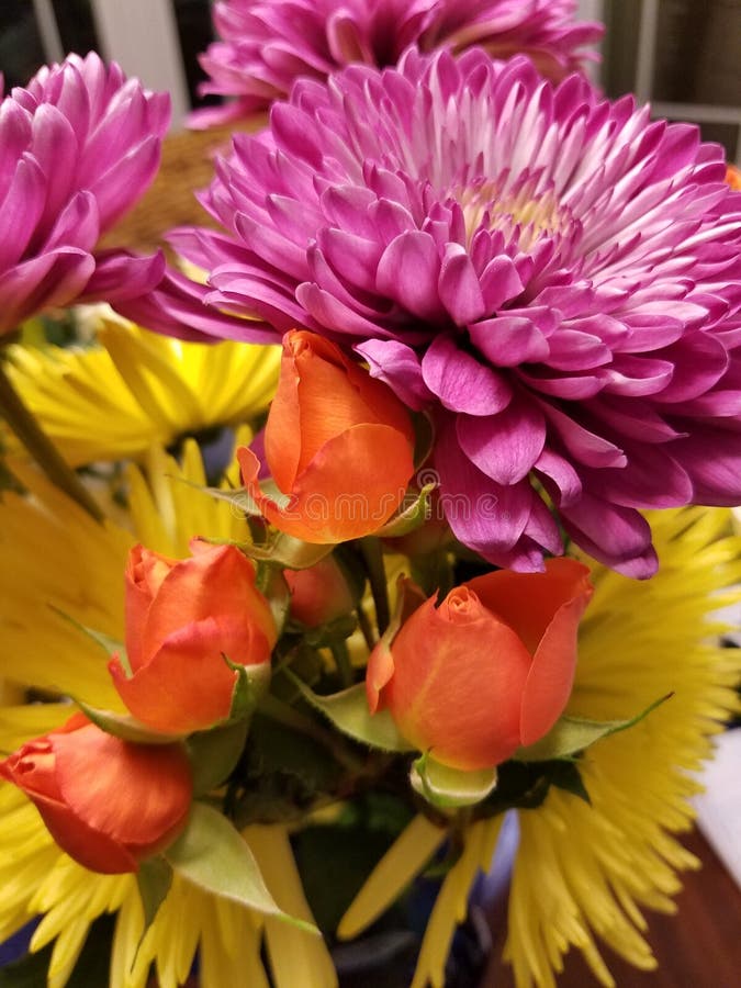 Bring spring indoors stock photo. Image of large, indoors - 113748986