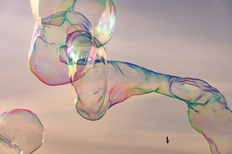 Sunlight Refracting through Large Colorful Bubbles on the Ocean Coast ...