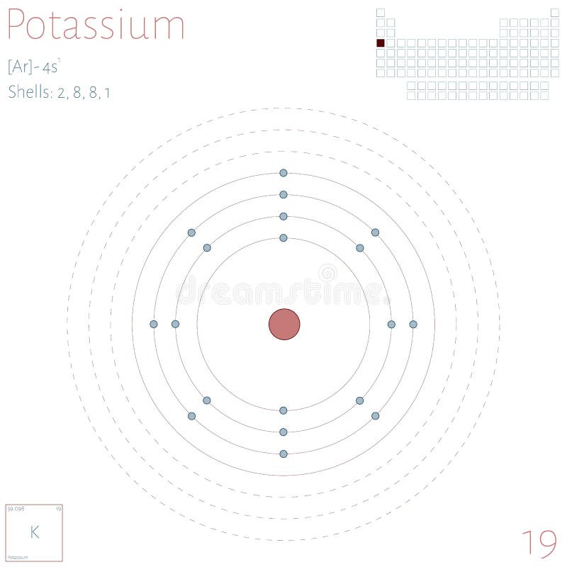 Infographic of the Element of Potassium Stock Vector - Illustration of ...