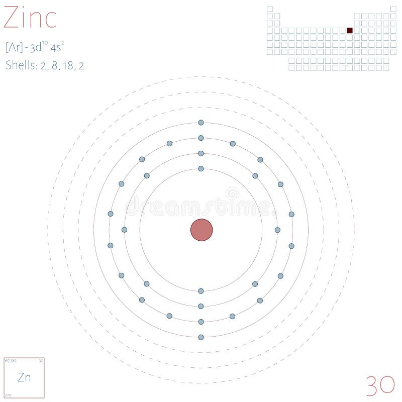 Zinc Infographic Stock Illustrations – 256 Zinc Infographic Stock ...