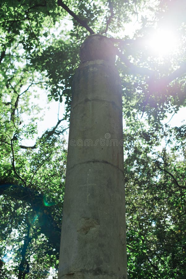 Large Column in a Forest stock image. Image of balearic - 35948253