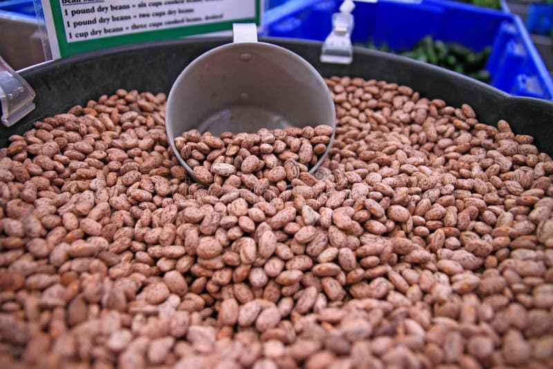 Large container of beans stock image. Image of scoop - 21866789