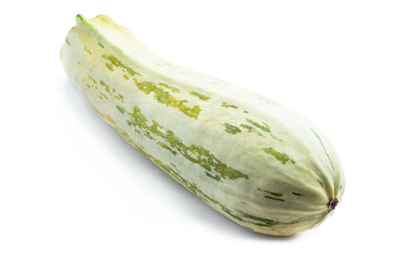 Large Courgette Isolated on White Background Stock Photo - Image of ...