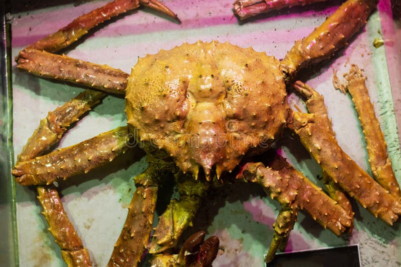 A Large Crab is Being Prominently Displayed in a Glass Container Stock ...