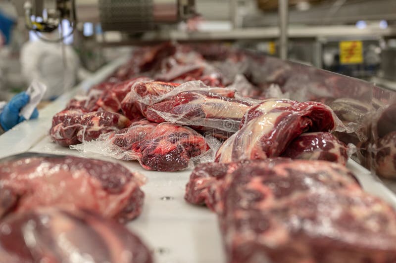 Large Cuts of Beef Packed in a Vacuum Plastic Bag. Stock Image - Image ...