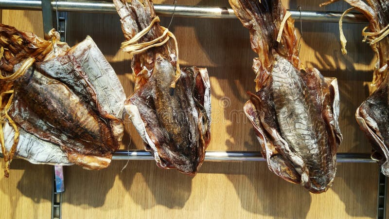 Large Cuttlefish are on Display in Supermarkets Stock Photo - Image of ...