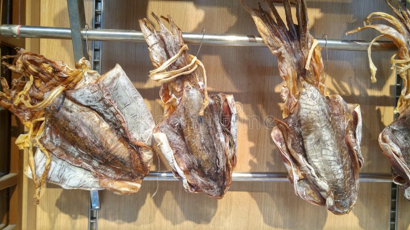 Large Cuttlefish are on Display in Supermarkets Stock Photo - Image of ...
