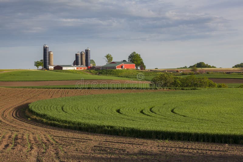 Wisconsin Dairy Farm Stock Images - Download 339 Royalty Free Photos